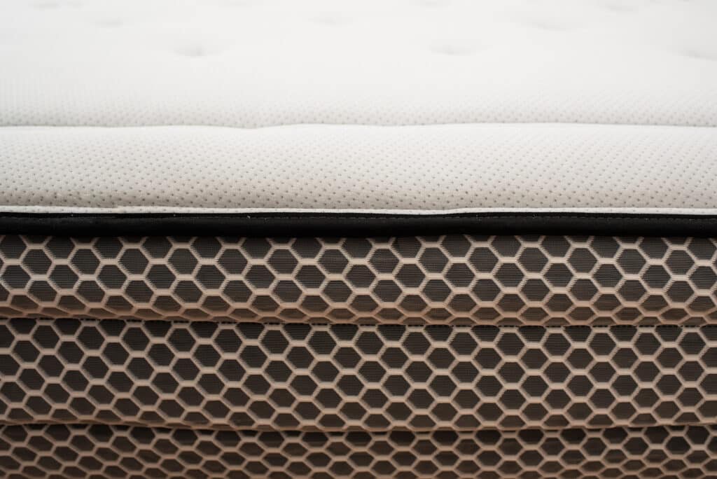 Do Rats Carry Rabies? - Forterra Pest Control