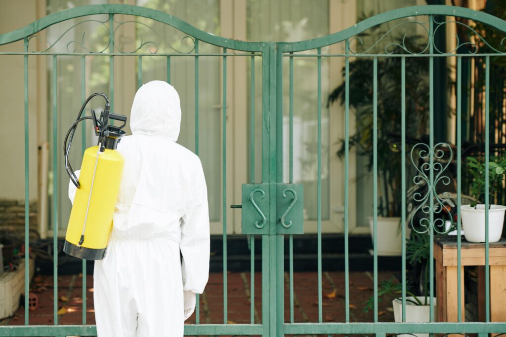 The Most Effective Scents to Keep Rats Away in Southlake, Texas ...